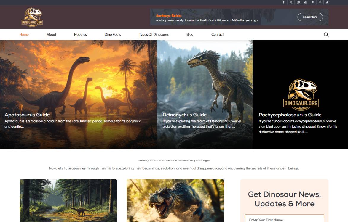 Our Work - W3Cube Tech